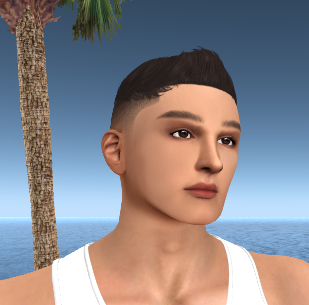 UPDATED FOR 2024: Second Life Releases Senra, a Line of Mesh Starter ...