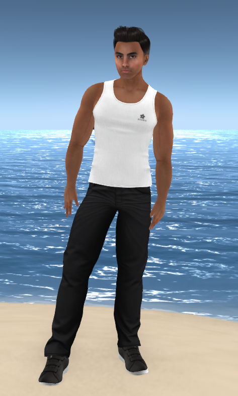 UPDATED FOR 2024: Second Life Releases Senra, a Line of Mesh Starter ...