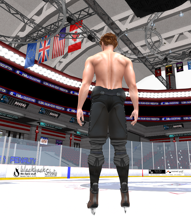 UPDATED: Crash Landing (and Showing Off My Shane Hollander and Ilya ...