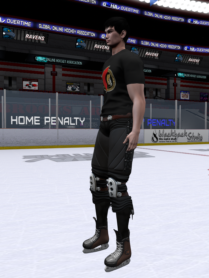 UPDATED: Crash Landing (and Showing Off My Shane Hollander and Ilya ...